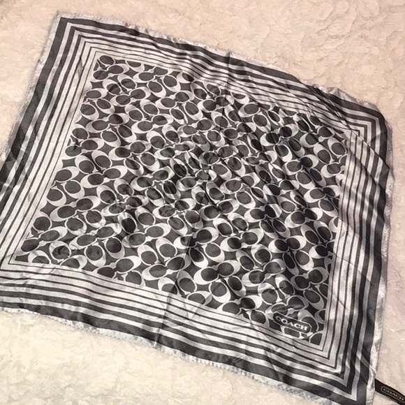 Coach | Accessories | Coach Silk Purse Bag Scarf Twilly Signature C ...